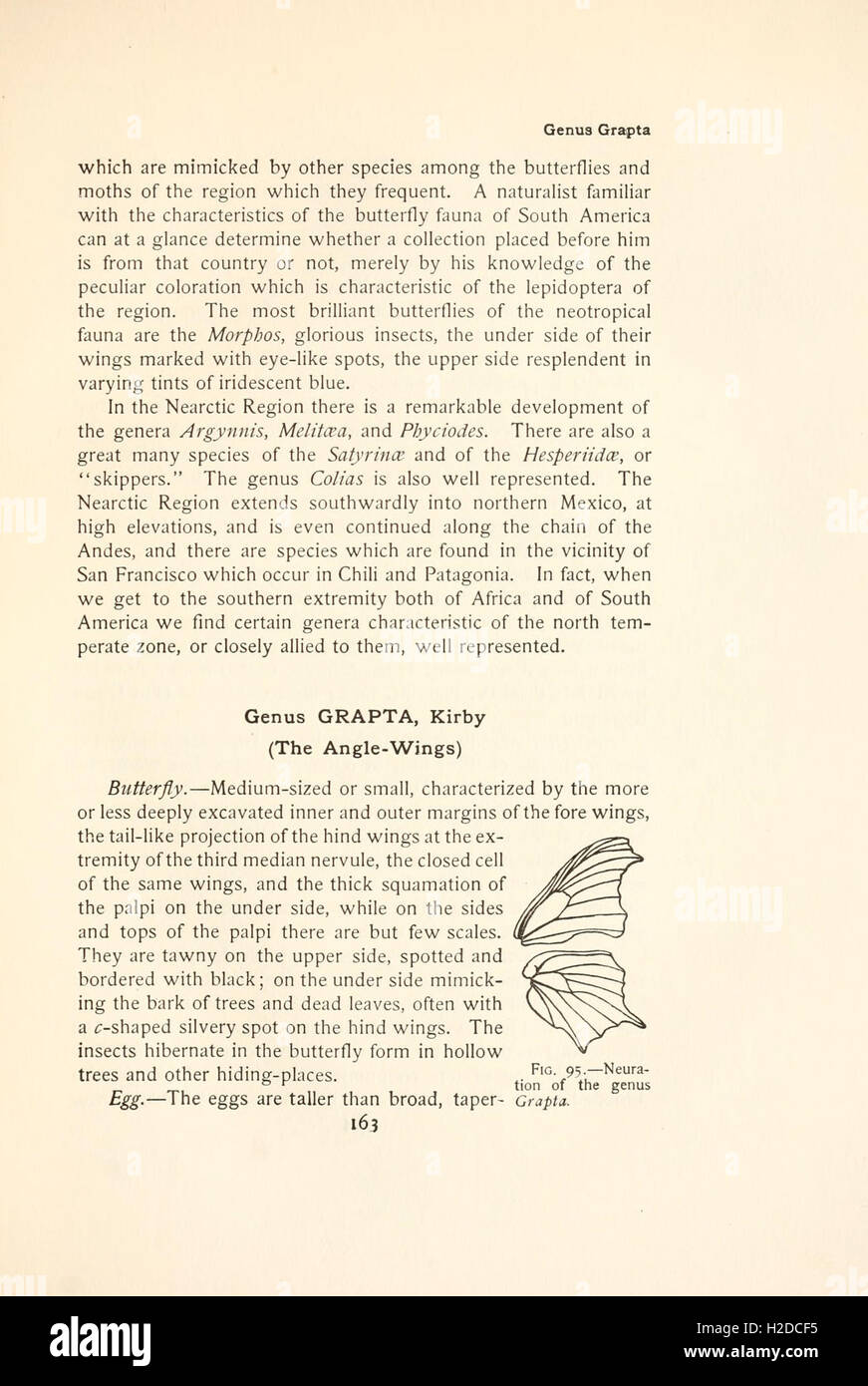 This page from 'The Butterfly Book' offers detailed illustrations and ...