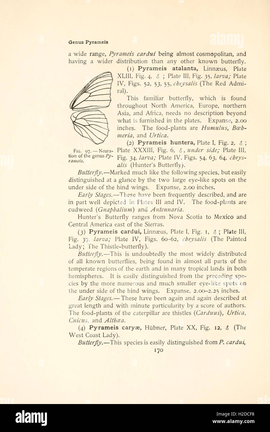 The butterfly book (Page 170, Fig. 97 Stock Photo - Alamy