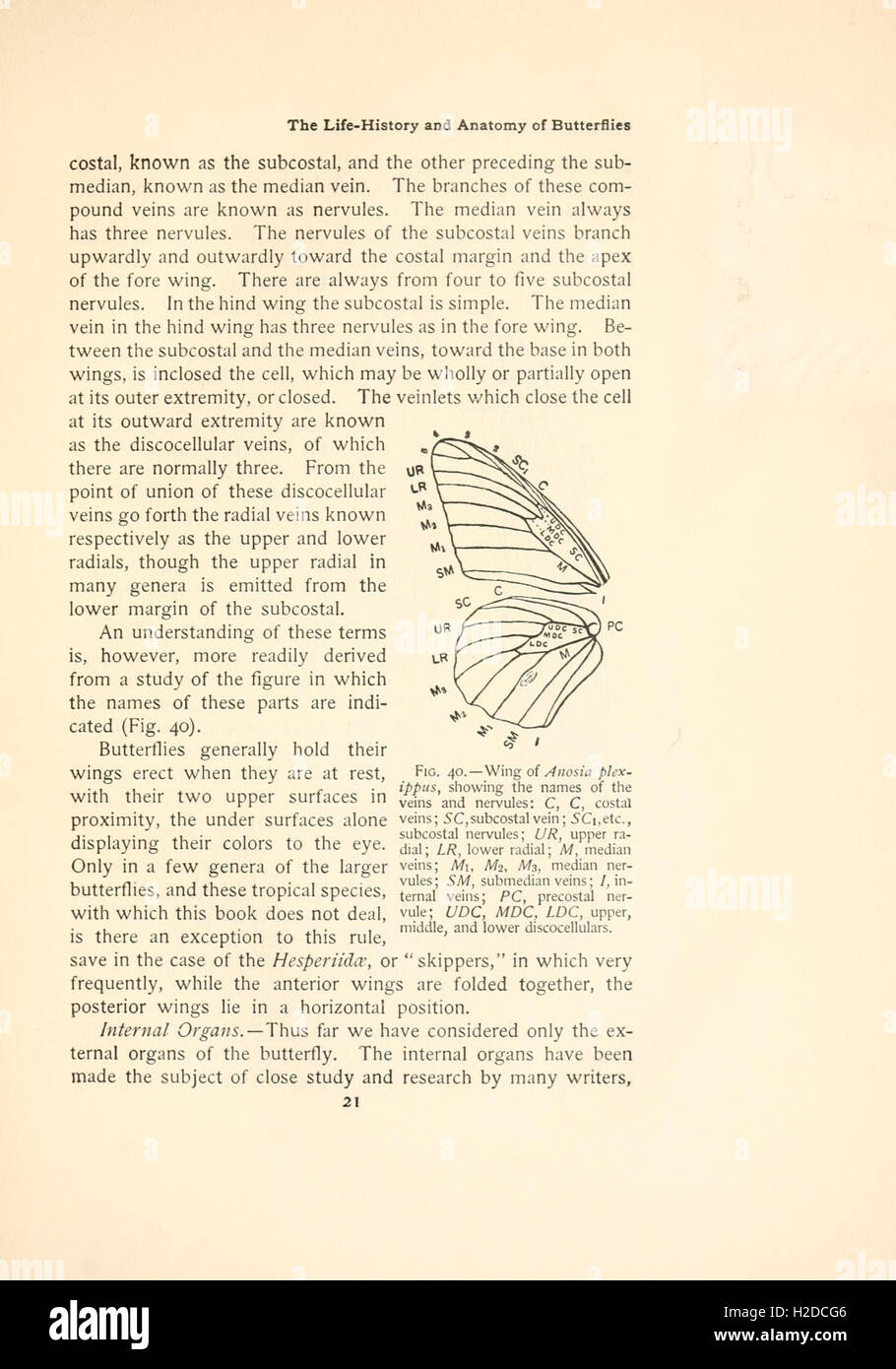 The Butterfly Book provides an illustrated guide to various butterfly ...
