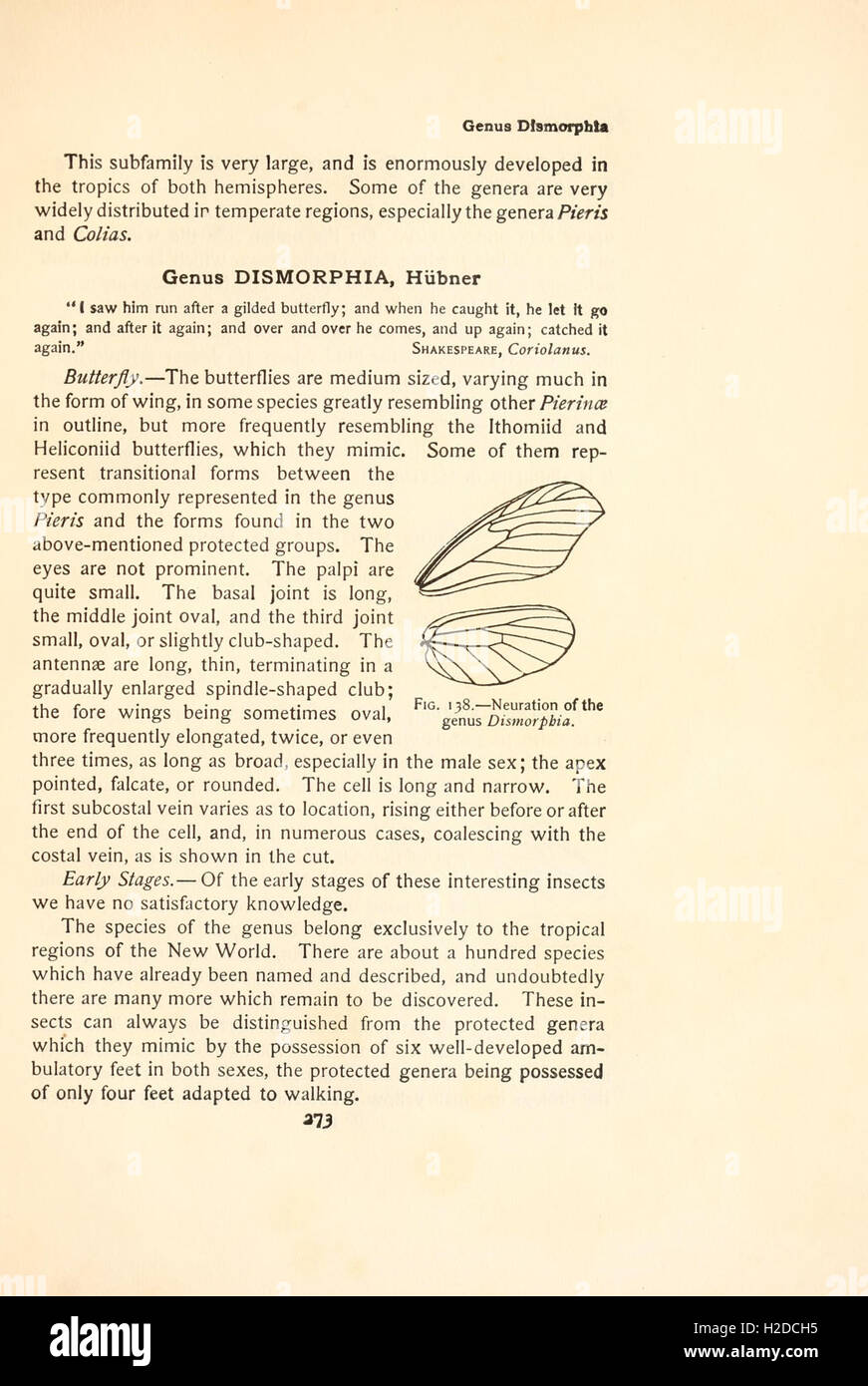 'The Butterfly Book' provides an extensive guide to butterfly species ...