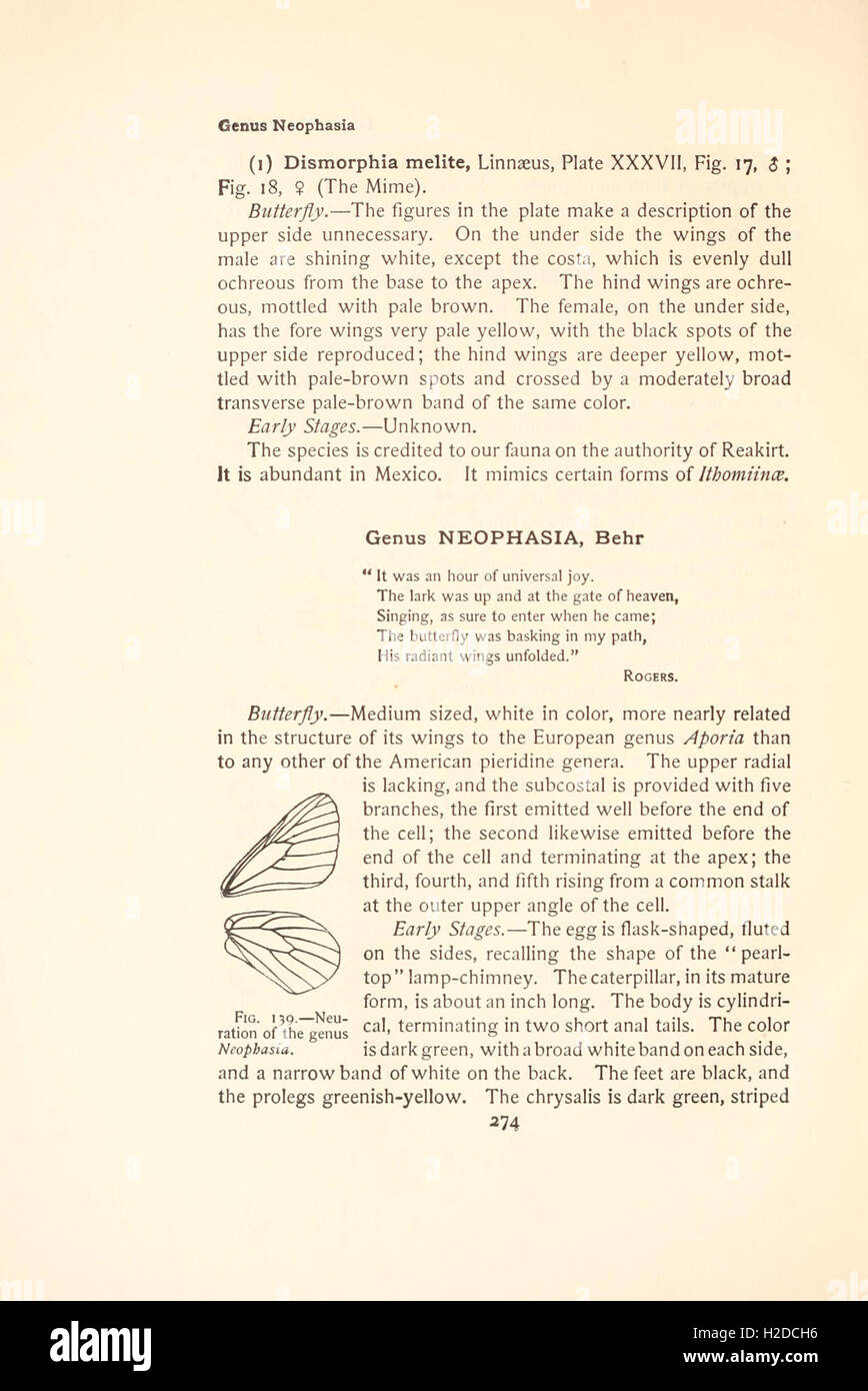 This page from 'The Butterfly Book' provides an illustrated guide to ...