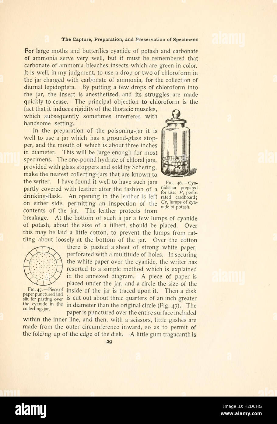 This book features detailed illustrations and descriptions of butterfly ...