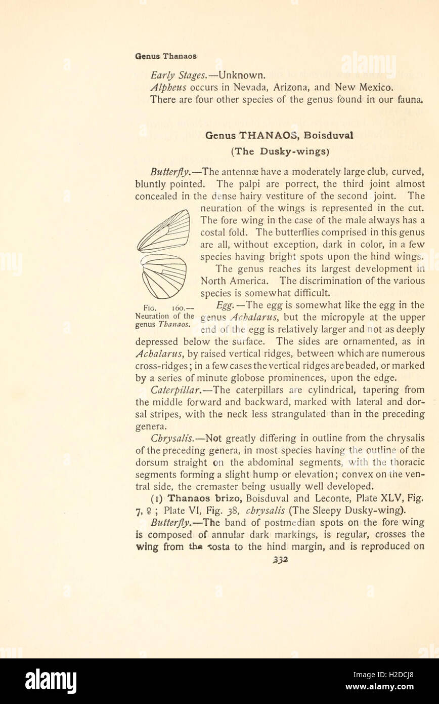 This page from 'The Butterfly Book' presents a detailed illustration ...