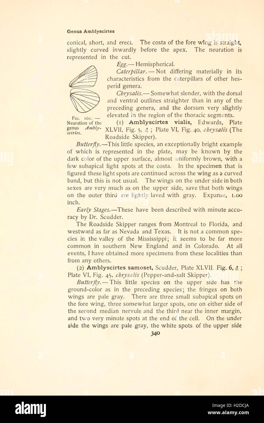 This page from 'The Butterfly Book' provides a detailed illustration ...
