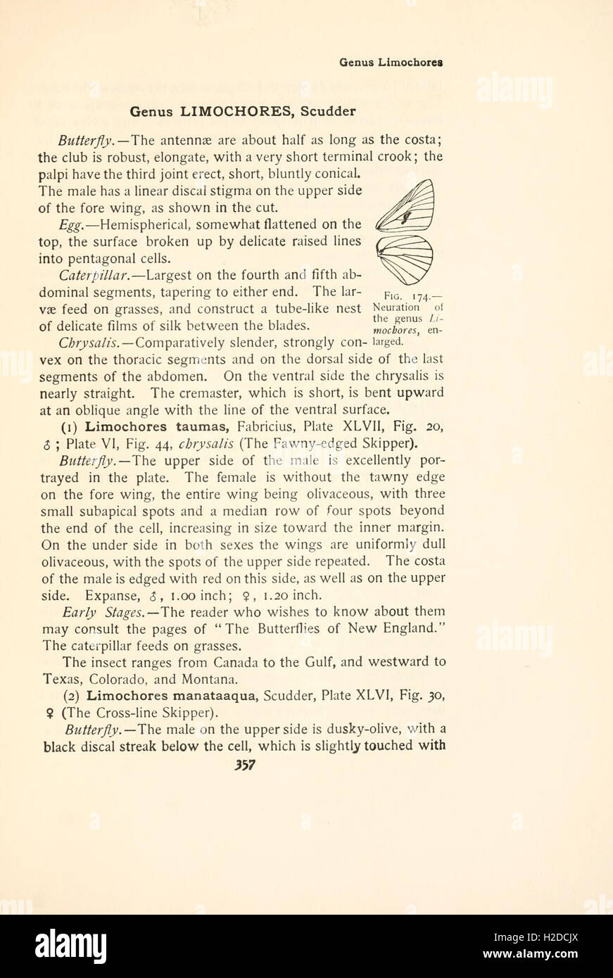 This book provides an in-depth study of butterflies, with detailed ...
