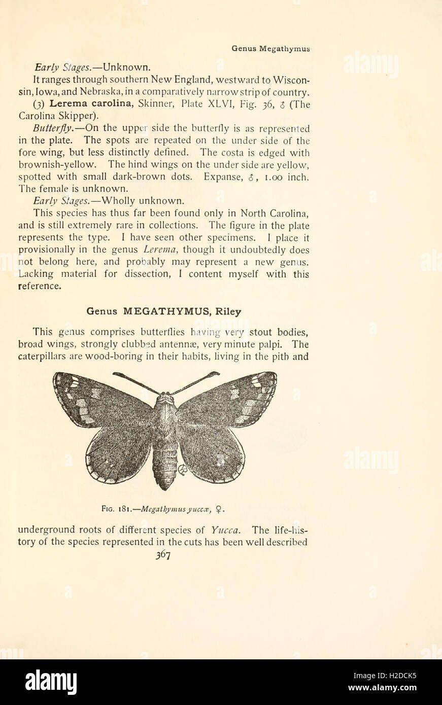 The butterfly book (Page 367, Fig. 181 Stock Photo - Alamy