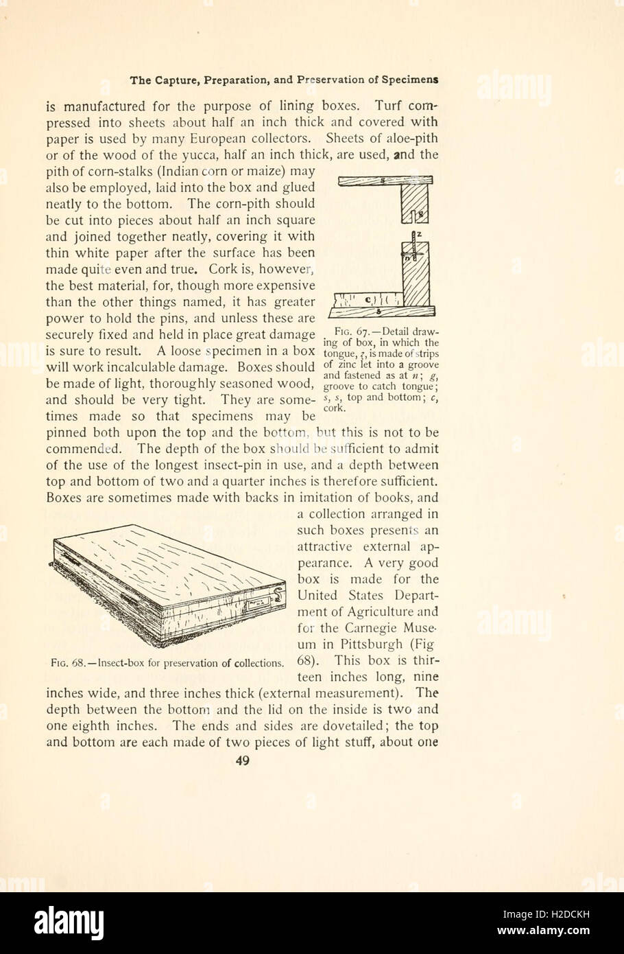 The butterfly book (Page 49, Figs. 67-68 Stock Photo - Alamy