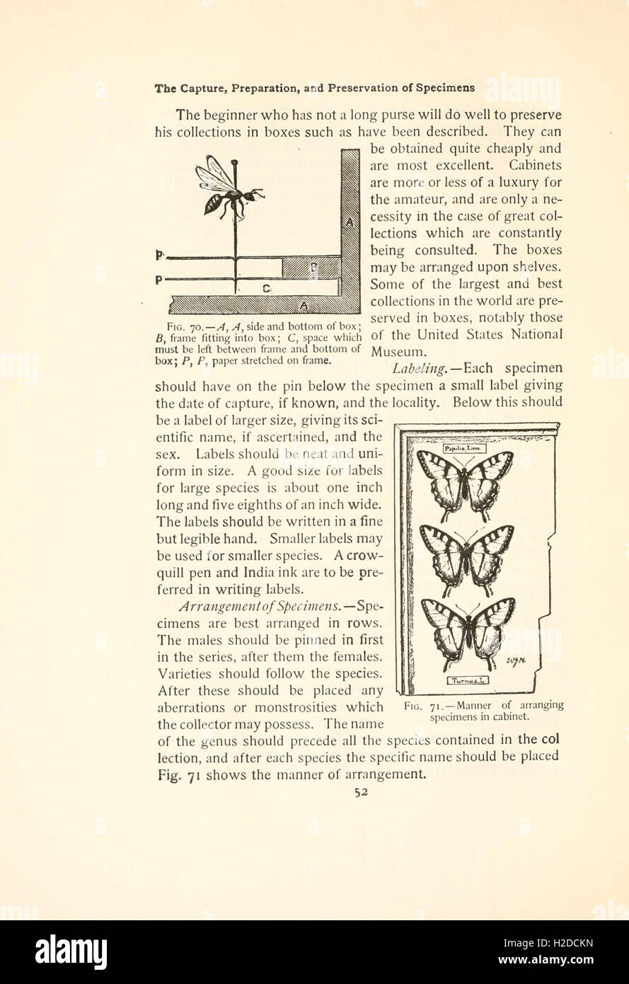 The Butterfly Book provides detailed illustrations and descriptions of ...