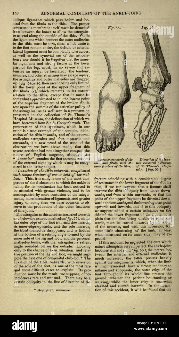 An extensive reference work on the structure and functions of the human ...