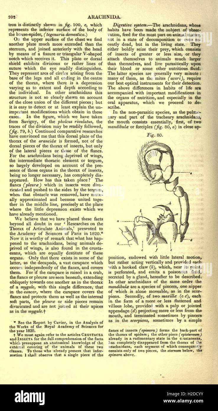 Cyclopædia of anatomy hi-res stock photography and images - Alamy