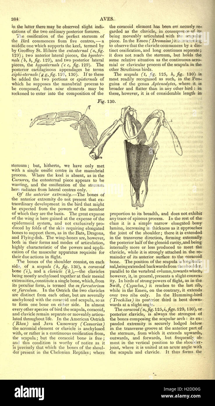 A detailed reference work on human anatomy and physiology, focusing on ...