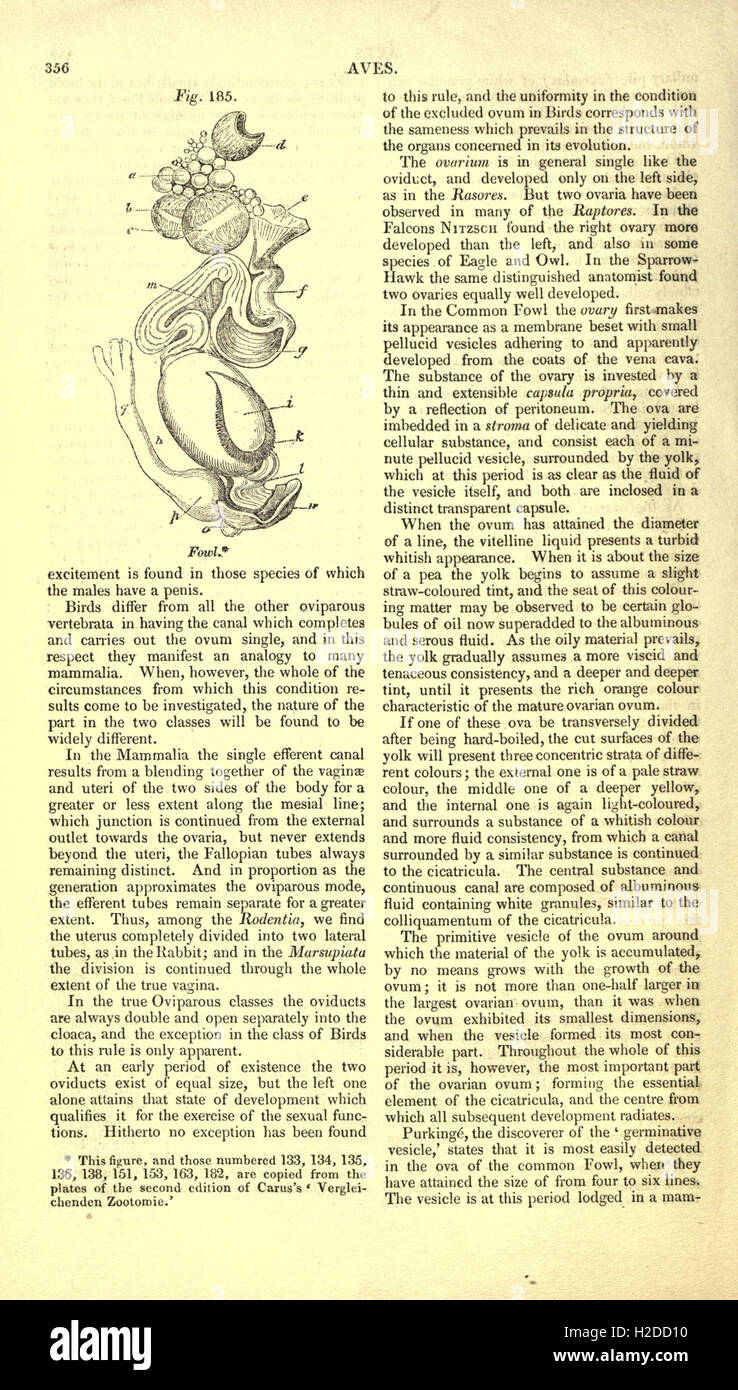 A comprehensive reference on anatomy and physiology, detailing the ...