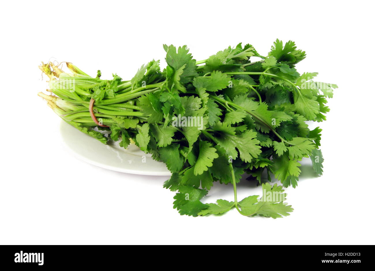 Chinese herbal medicine coriander hi-res stock photography and images ...