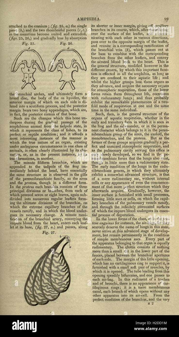 This page from the 'Cyclopaedia of Anatomy and Physiology' provides ...