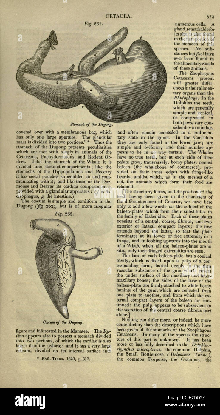 This medical encyclopedia offers in-depth information on human anatomy ...