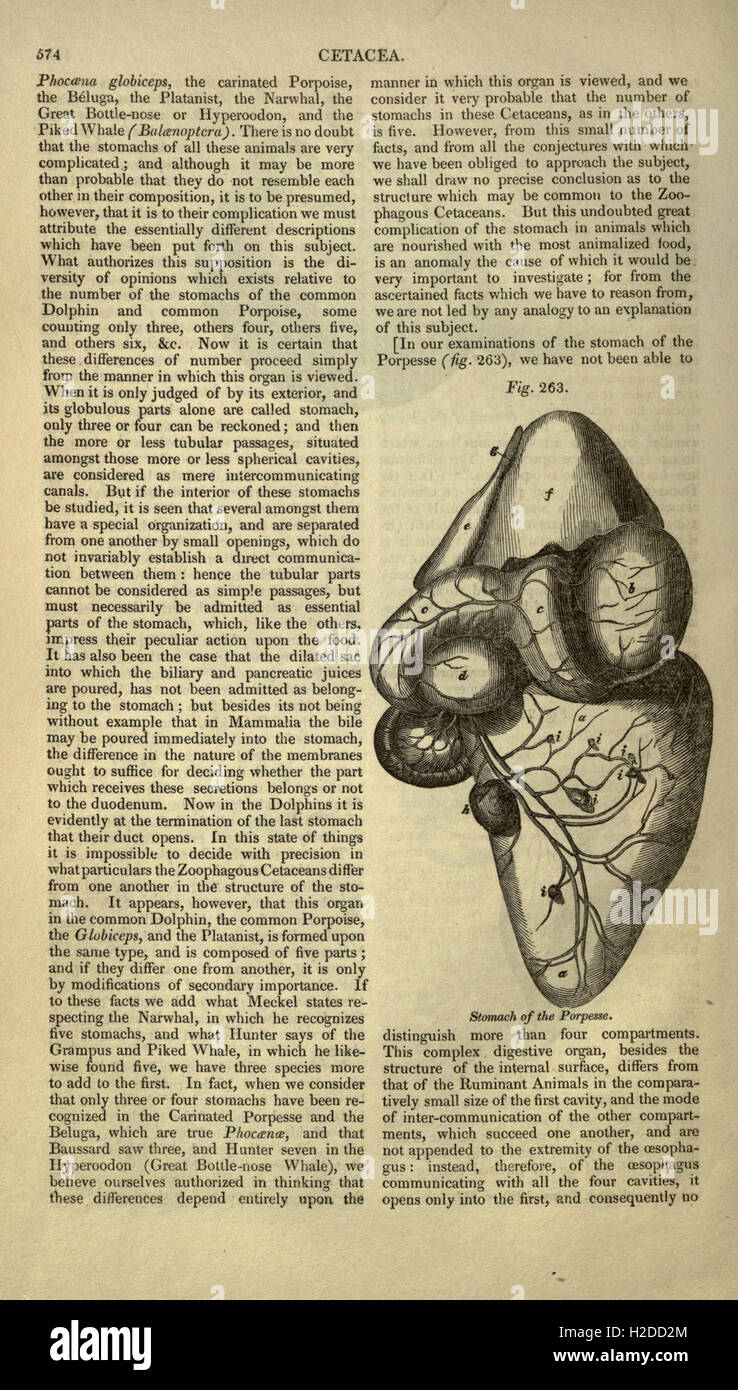 This comprehensive work on anatomy and physiology covers the structure ...