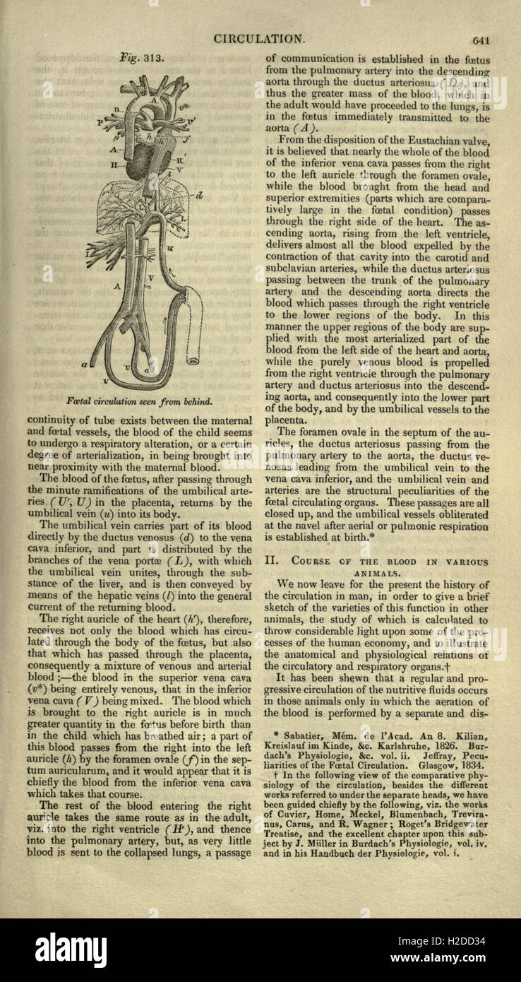 A detailed reference work on anatomy and physiology, covering human ...