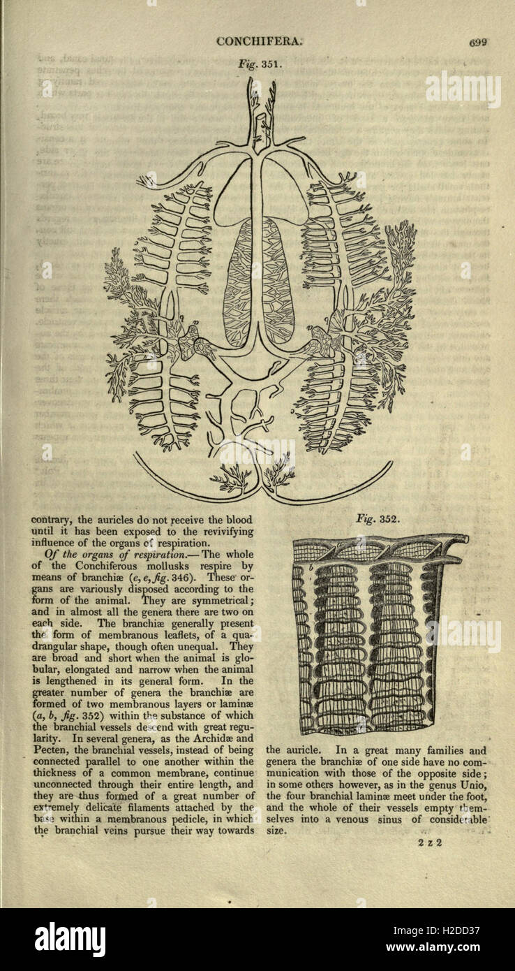 An extensive reference work on human anatomy and physiology, detailing ...