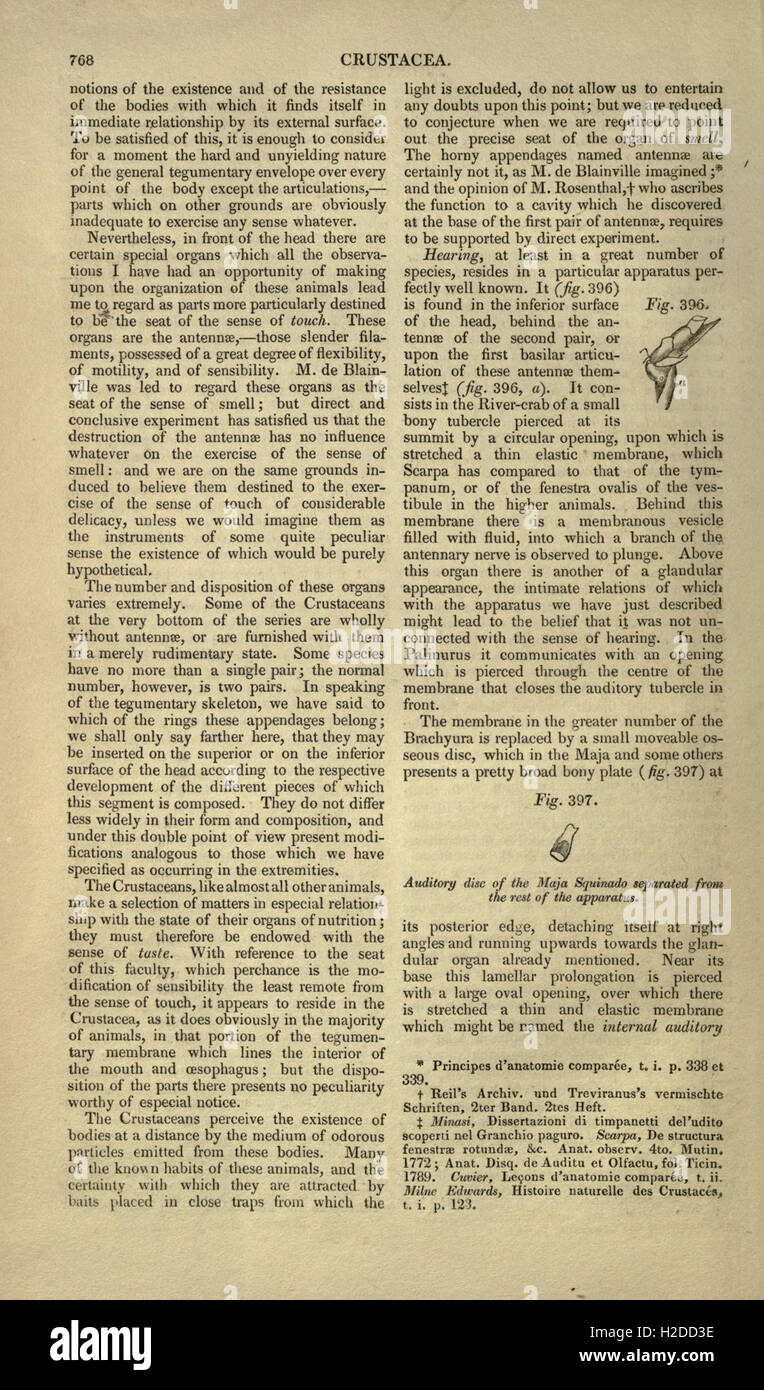 This extensive work offers an in-depth look into human anatomy and ...