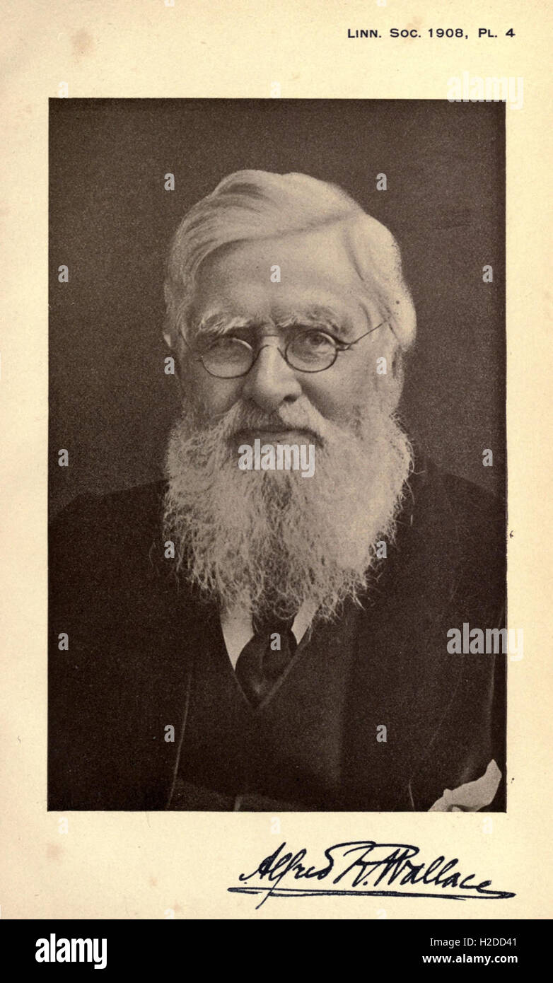 A celebration held in honor of the contributions of Charles Darwin and ...