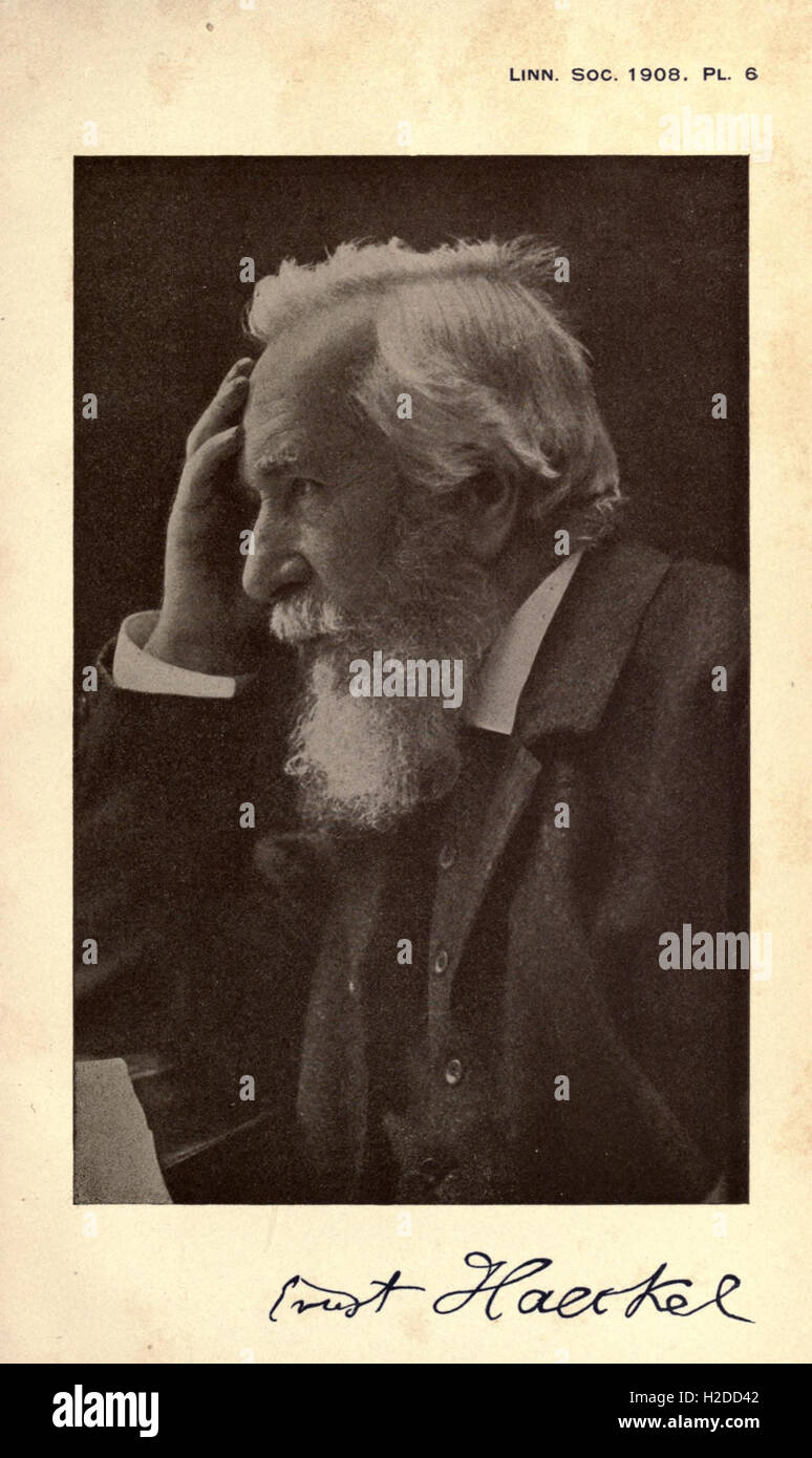 The Darwin-Wallace celebration of 1908 marked the 50th anniversary of ...
