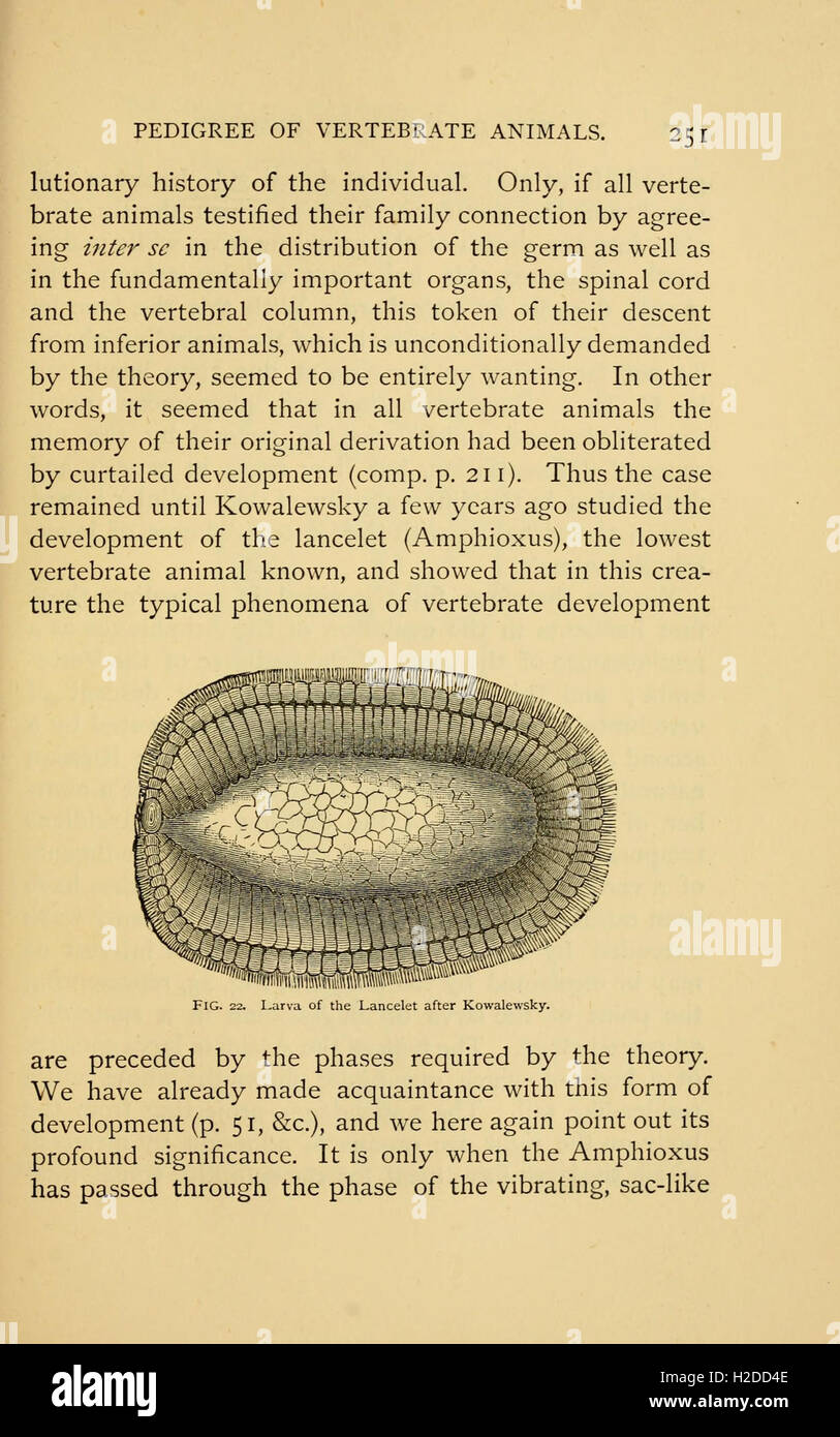 This work explores the principles of evolution and natural selection as ...