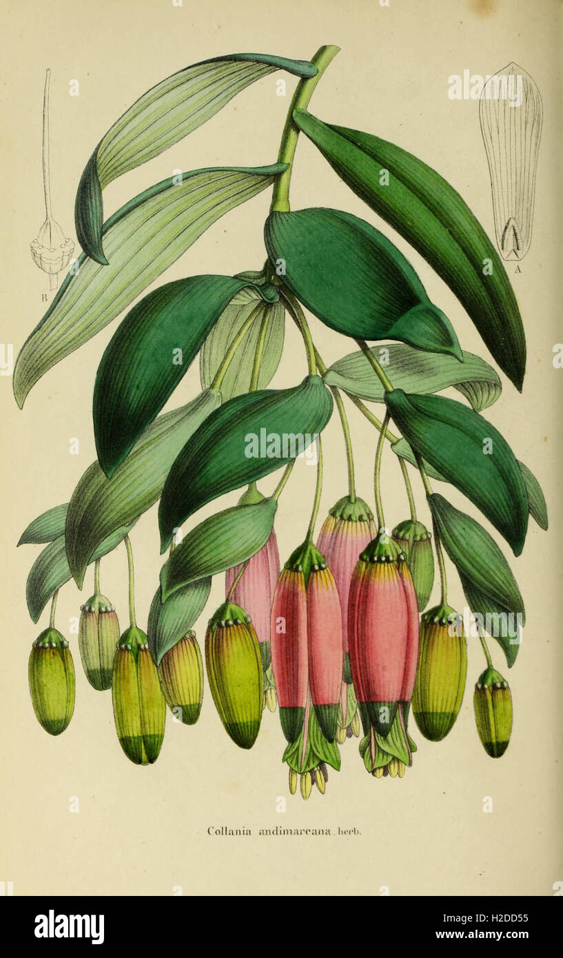 This journal publishes research on agriculture and botany, with a focus ...