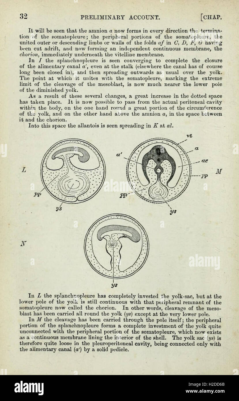 A study on the fundamentals of embryology, focusing on early ...