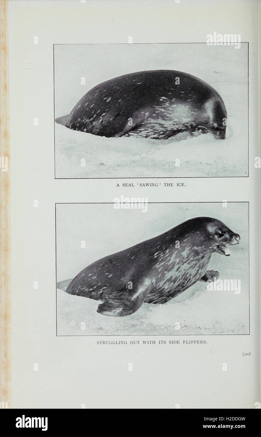 This book chronicles the journey of Antarctic explorers, focusing on ...