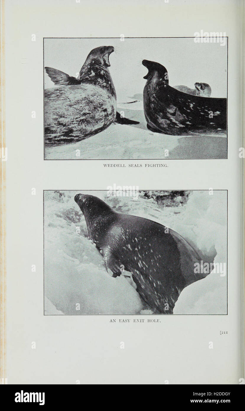 A narrative about early Antarctic exploration, focusing on the ...