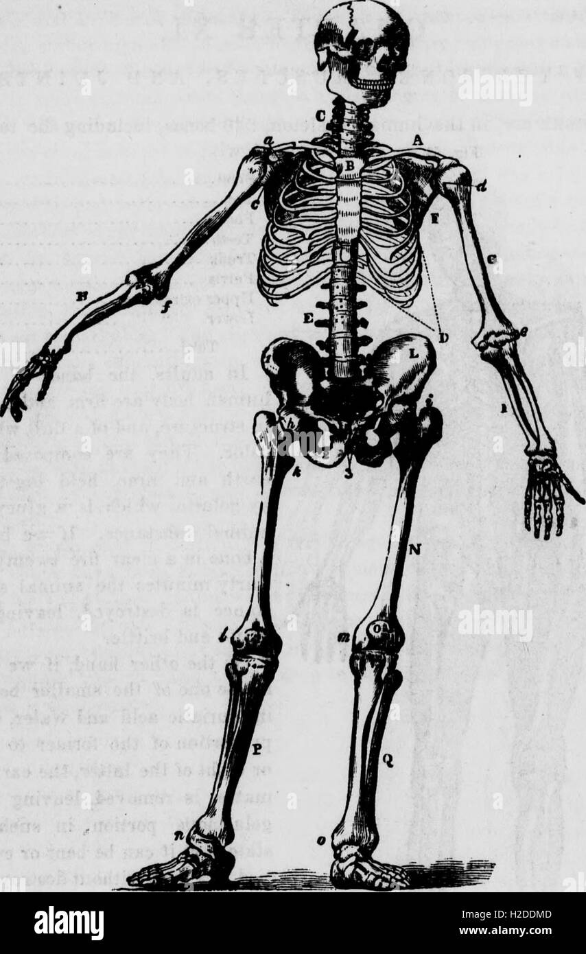 A guide to hydropathy, outlining natural treatments and preventative ...