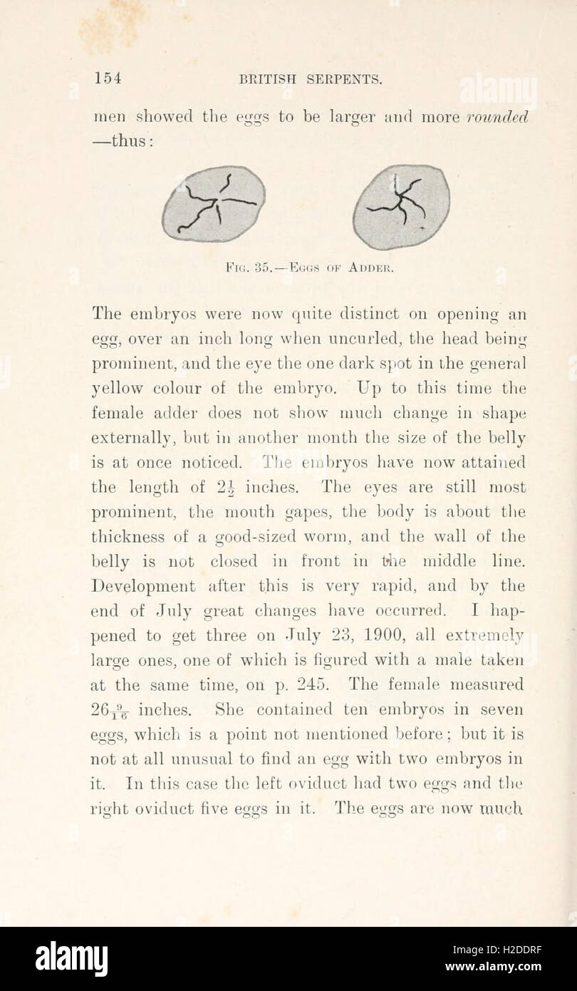 A study on the life cycle, behavior, and distribution of British ...