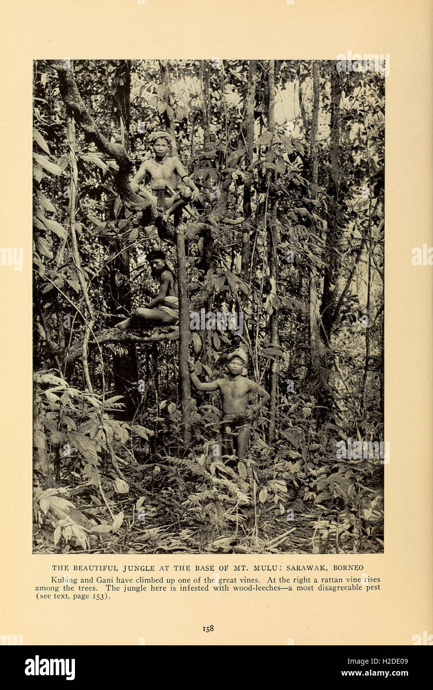 This issue of National Geographic Magazine explores various topics ...