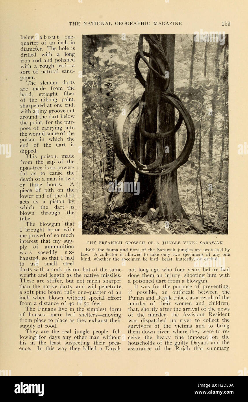 A page from the National Geographic Magazine, featuring an article or ...