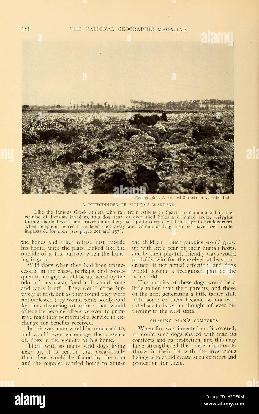 This issue of 'The National Geographic Magazine' features articles on ...