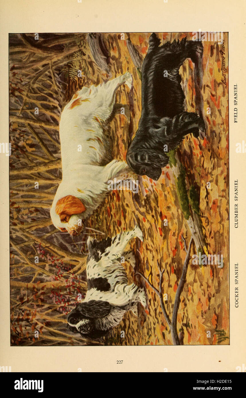 A publication from National Geographic, featuring articles on natural ...