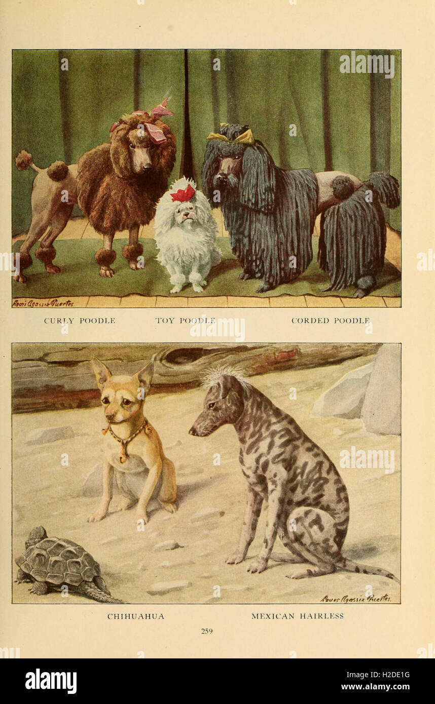 Old national geographic magazine cover hi-res stock photography and ...