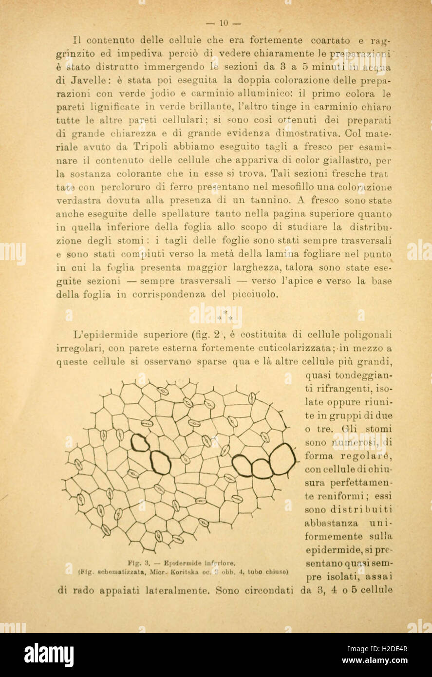 This botanical journal features articles on plant species, their ...