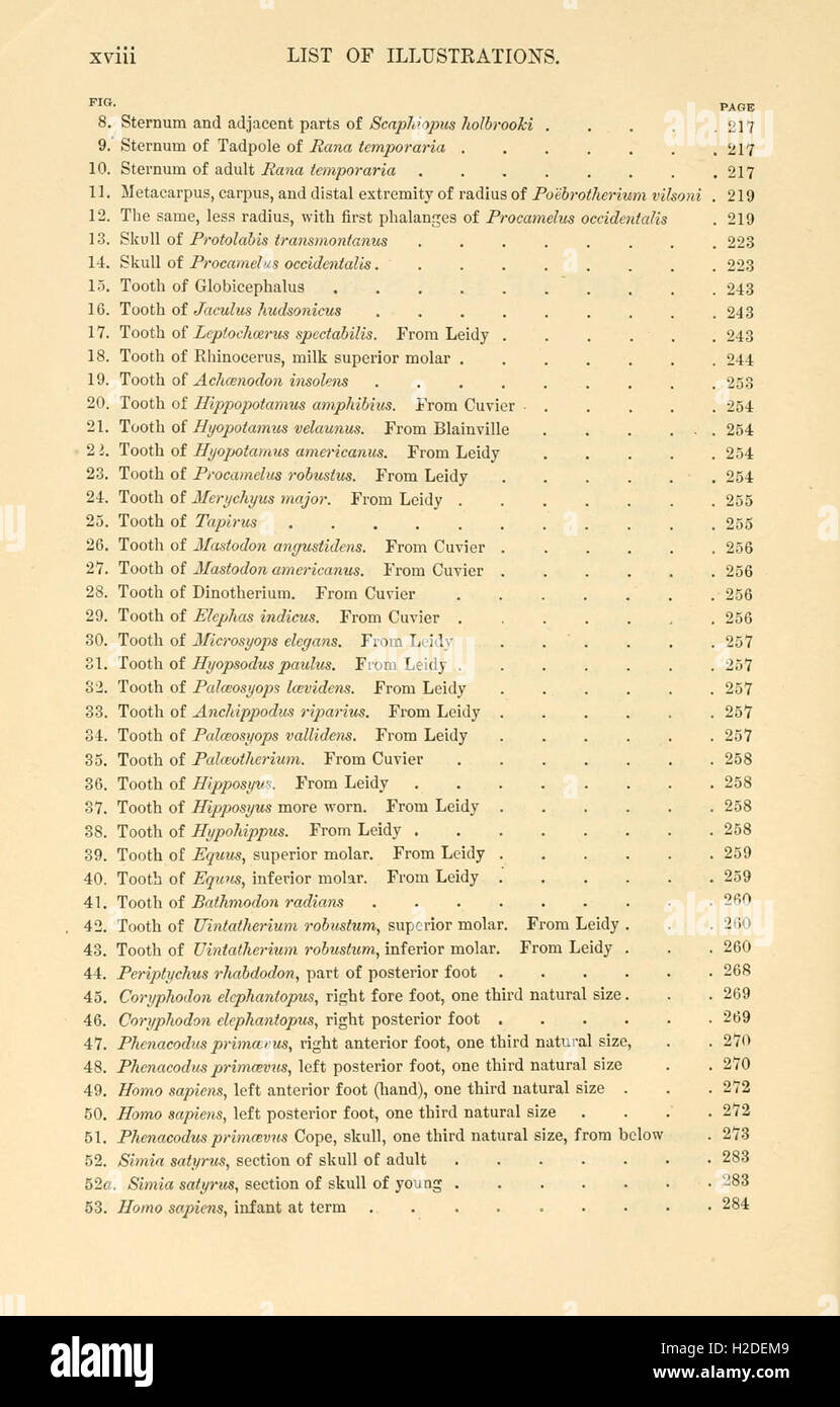 This page discusses the theory of natural selection and survival of the ...