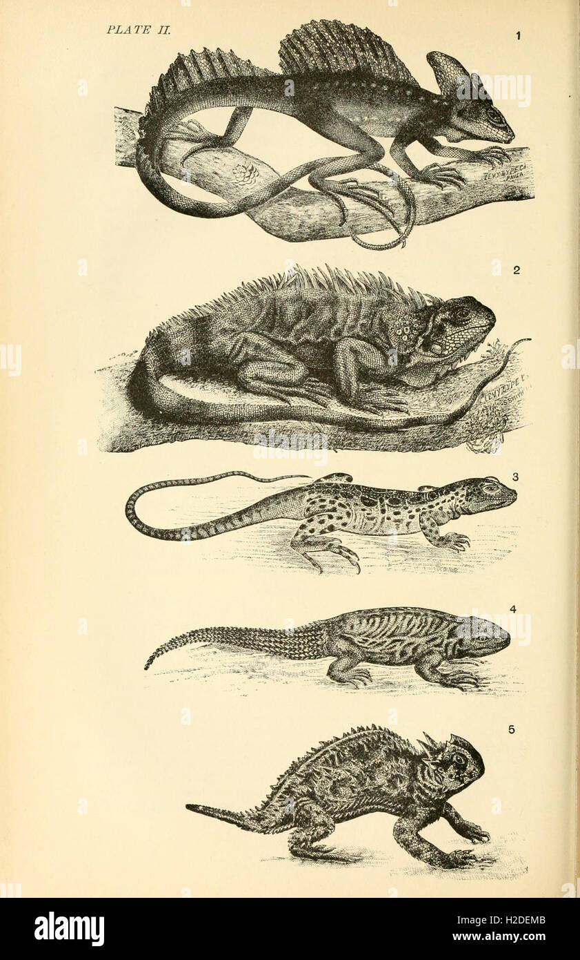 This work explores the concept of natural selection, illustrated in ...