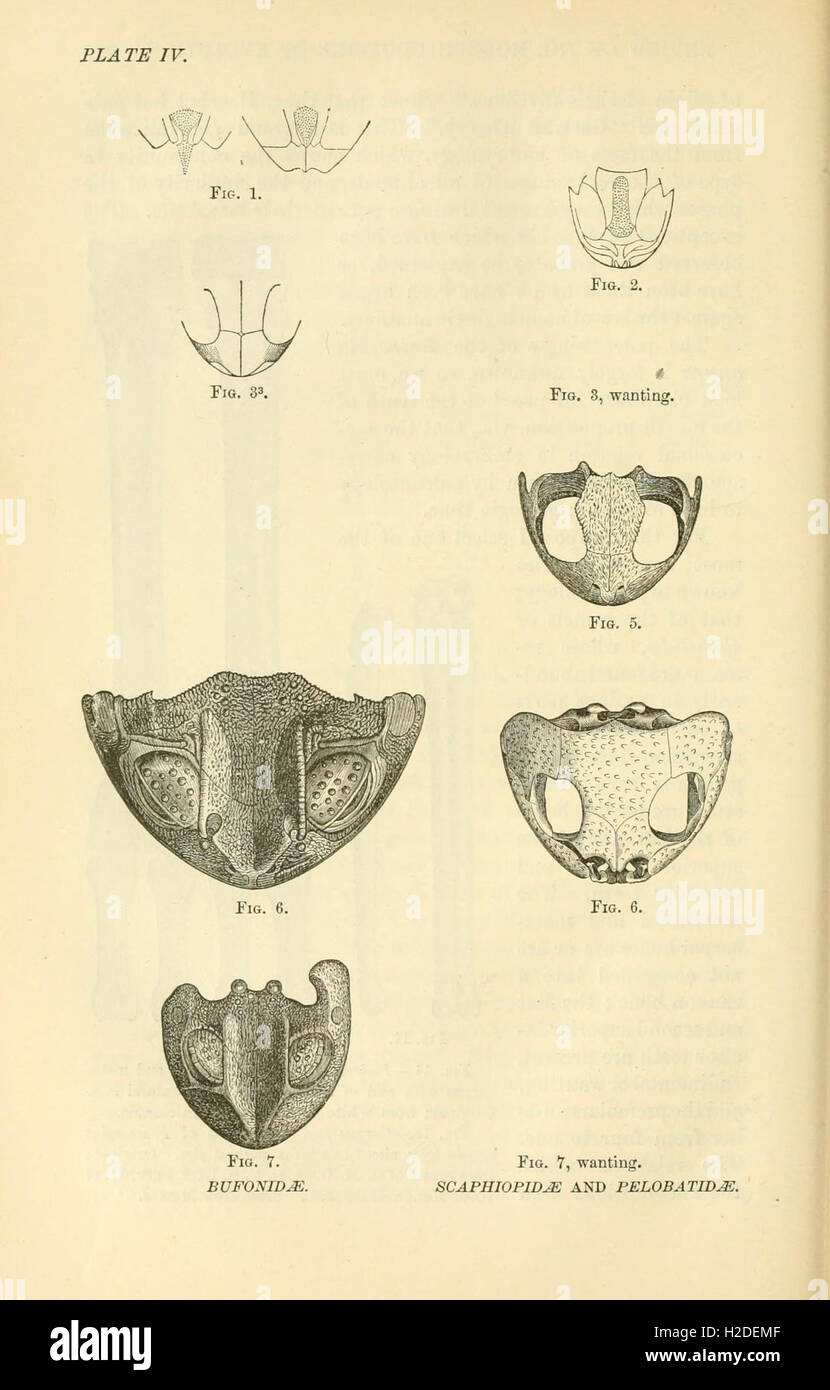 This work explores evolutionary theory, emphasizing natural selection ...