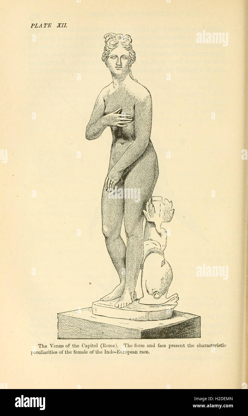 Work explores concept natural hi-res stock photography and images - Alamy