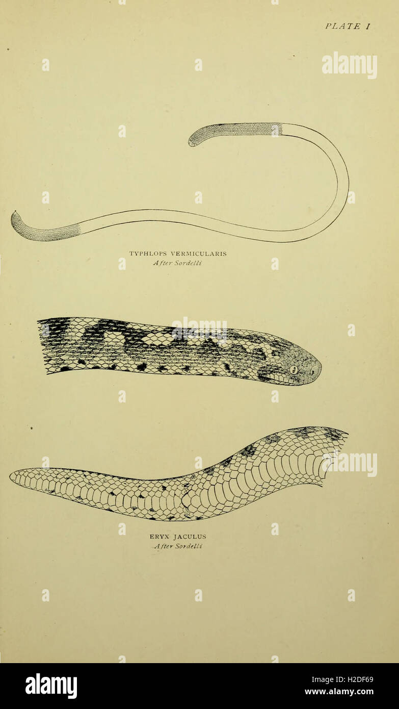 This work provides a detailed guide to the snakes of Europe, discussing ...