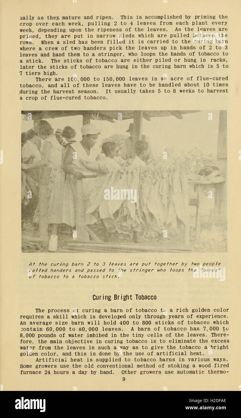 This page traces the history and cultural impact of tobacco, examining ...