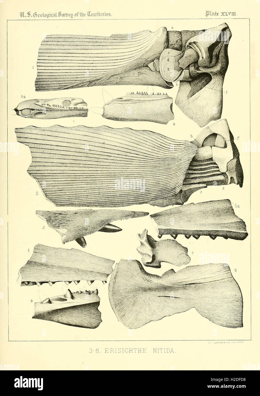 This work, exploring vertebrate fossils in Cretaceous formations ...