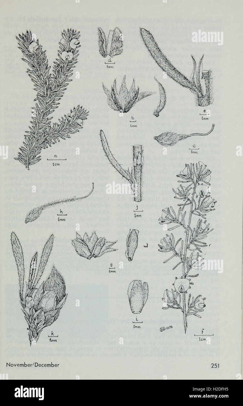 'The Victorian Naturalist' features articles and studies on various ...