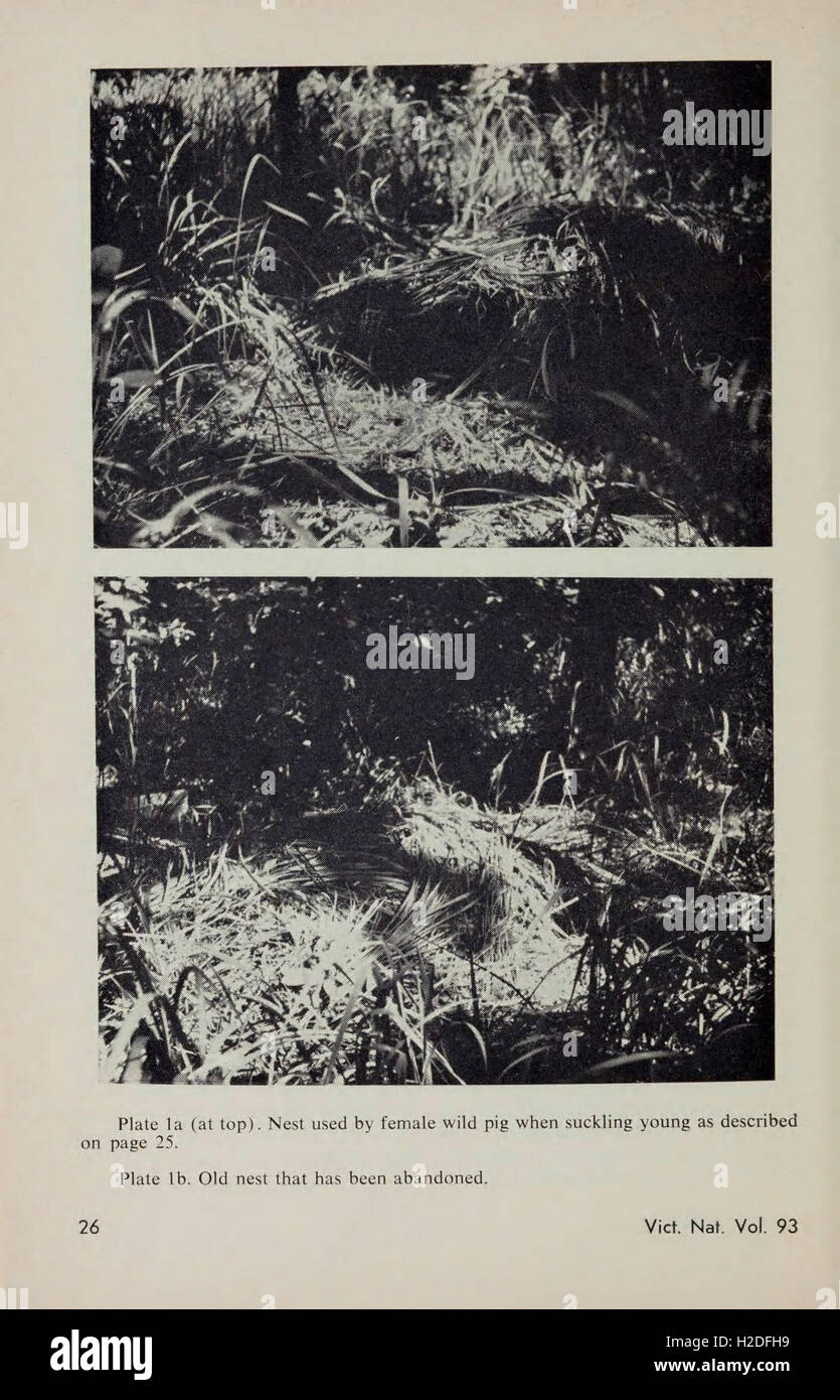 A scientific journal from the Victorian era focusing on natural history ...