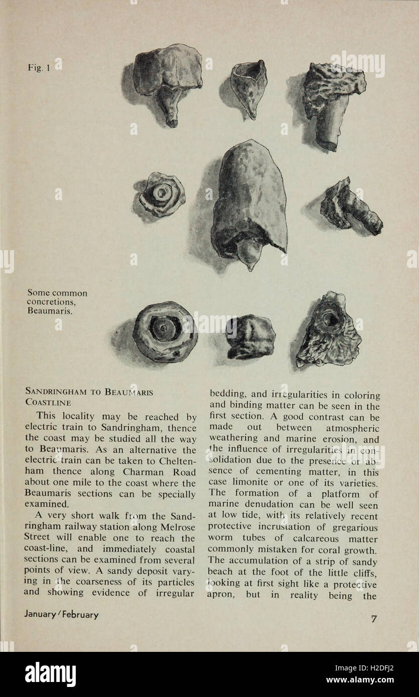 The Victorian Naturalist is a publication that covers various aspects ...