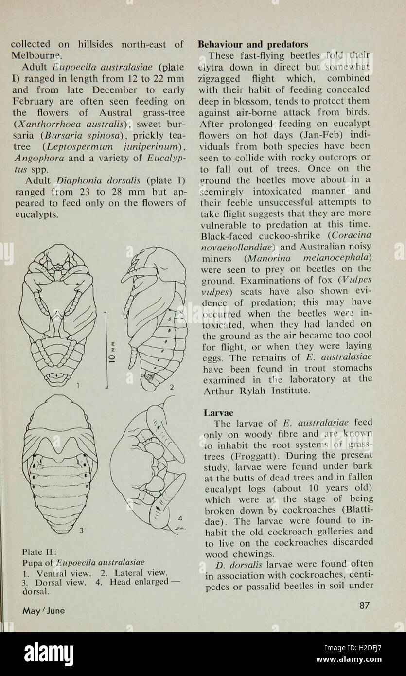 This periodical explores natural history in the Victorian era, with ...