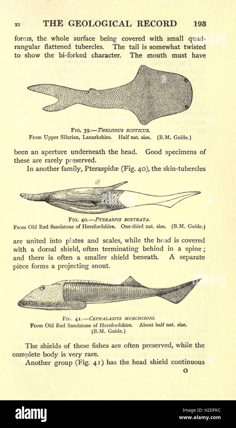 A comprehensive exploration of life forms, ecosystems, and biological ...